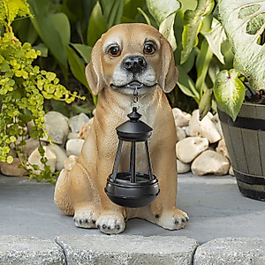 VP Home Golden Puppy with Lantern Solar Powered LED Outdoor Decor Garden Light