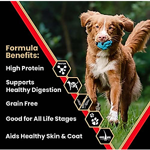 Victor Super Premium Dog Food – Grain Free Active Dog & Puppy – Dry Dog Food with 33% Protein, Gluten Free - for High Energy Dogs, 30lbs
