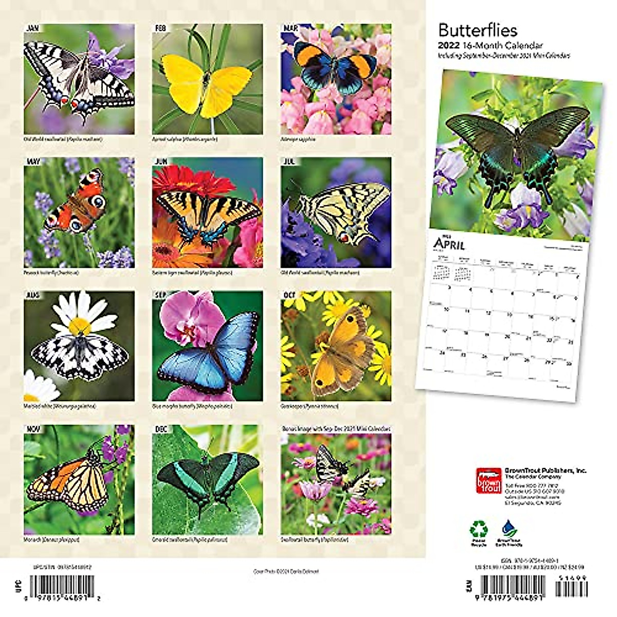 Butterflies 2022 12 x 12 Inch Monthly Square Wall Calendar, Wildlife Animals Wings