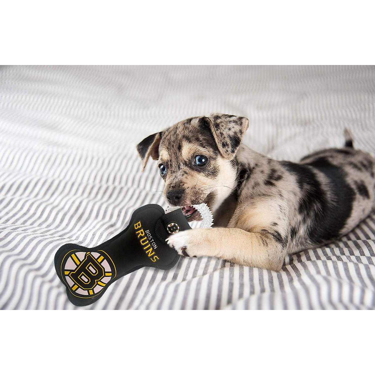 Pets First NHL Boston Bruins Dental Dog TUG Toy with Squeaker. Tough PET Toy for Healthy Fun, Teething & Cleaning Pet's Teeth & Gum., Team Color, one Size (BRU-3310)