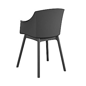CosmoLiving by Cosmopolitan , Camelo Collection, Indoor/Outdoor Resin, 2-Pack, Black Dining Chairs, Contoured Back