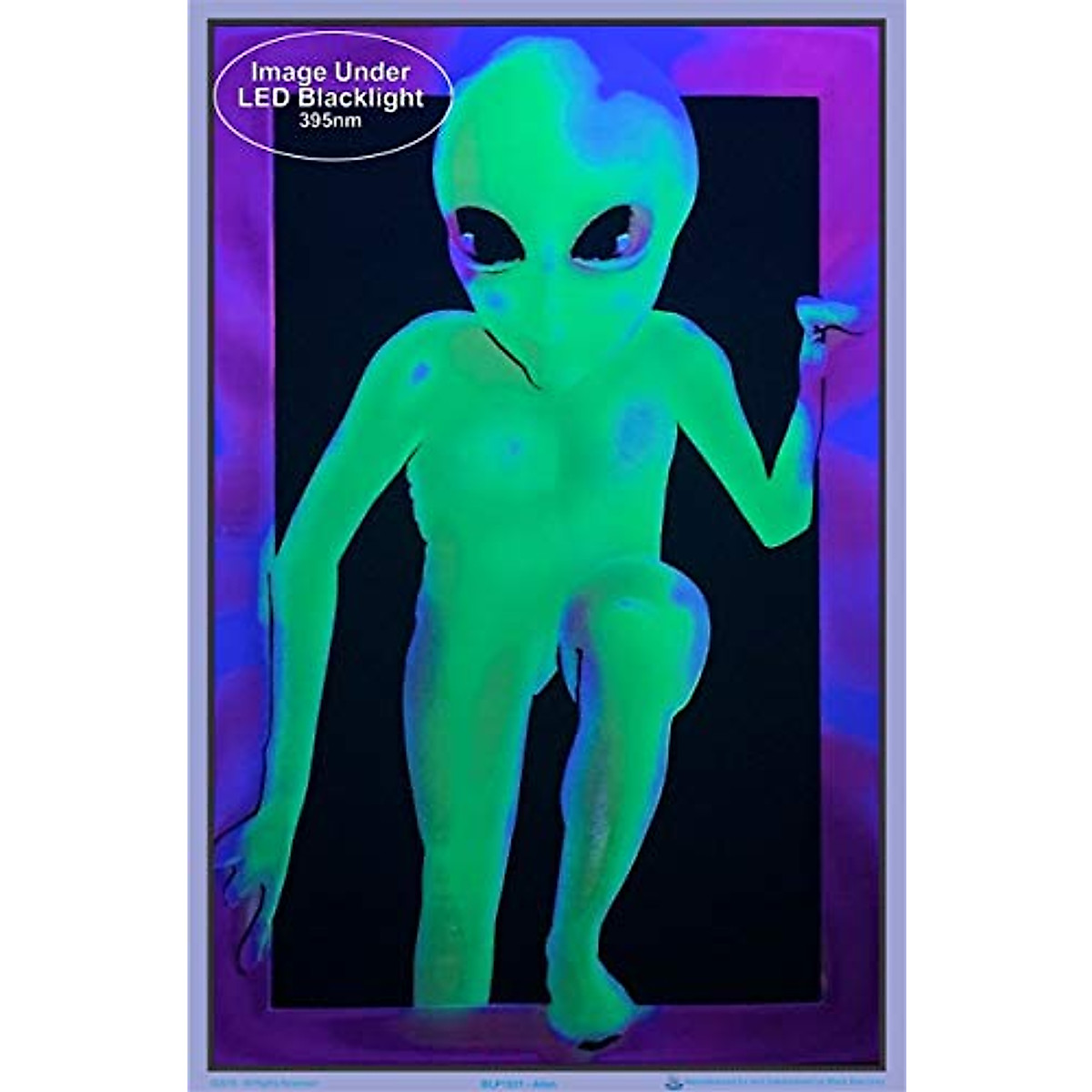 Alien Visitor Blacklight Poster - Flocked - 35" x 23"