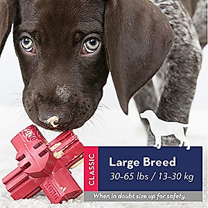 KONG Jump'N Jack - Durable Dog Chew Toy - Dental Dog Toy for Chewing & Teeth Cleaning - Rubber Dog Toys for Aggressive Chewers - Stuffable Dog Toy for Peanut Buter or Frozen Treats - Large Dogs