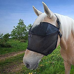 EquiVizor 95% UV Eye Protection (Full) Standard Horse Fly Mask - Help with Uveitis, Corneal Ulcer, Cataract, Light Sensitivity, Cancer. Designed to Stay On Your Horse, Off The Ground!