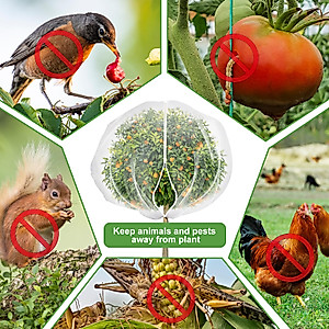 7.8 x 7.8 ft Large Fruits Tree Netting Cover with Zipper and Drawstring,Garden Insect Netting Plant Cover Transparent Bird Plant Barrier Flower Fruits Mesh Screen for Preventing Deer Squirrel Bug