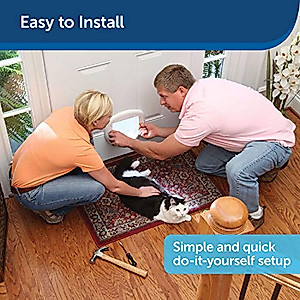 PetSafe Exterior / Interior Cat Door: Staywell Big Cat 4-Way Locking Pet Door Flap for Large Cats - Tinted Privacy Door - Weatherproof, Durable Door Frame - DIY Easy Install with Hardware Kit Included