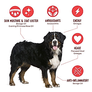 iHeartDogs Omega 3-6-9 for Dogs - Skin and Coat Fish Oil Supplement for Dogs with Pure Antarctic Krill Oil - Allergy & Itchy Skin Relief Chews, 120 Count