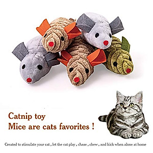PEEKAB 5Pcs Catnip Toy Oirganic Silvervine Toys Plush Cat Chew Interactive Toys Cat Mice & Animals Toys for Indoor Cats and Kittens Over 6 Months Old (Multicolor 5Pcs Mice)