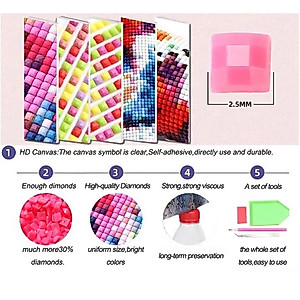 UDERUI Flame Angel Diamond Painting Kits for Adults, Large Diamond Painting Accessories Full Kit, DIY 5D Square Diamond Art Paint by Number, Diamond Dots Gem Art Crafts for Home Decor Gifts 32x64inch