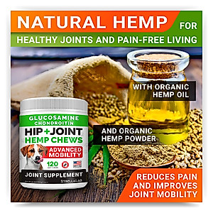 Large Breed Hemp + Glucosamine Dog Joint Supplement - Hemp Chews for Dogs Hip Joint Pain Relief - Omega 3, Chondroitin, MSM - Advanced Mobility Hemp Oil Treats for Large Dogs - Made in USA - 240 Ct