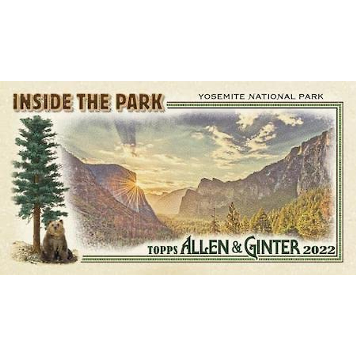 2022 Topps Allen & Ginter Baseball Factory Sealed 24-Pack Retail Box - 144 Trading Cards per Box!! Y