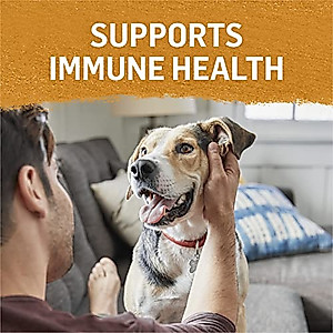 Purina Beyond Chicken and Sweet Potato in Gravy Grain Free Wet Dog Food - (12) 12.5 oz. Cans