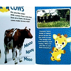 Dreamtivity Baby Einstein Video Fun Board Books, 4-Book Set