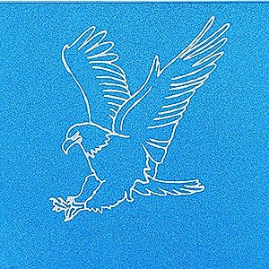 Garsentx Hsthe Sea SSD Automatic Recognition Intelligent Error Correction Blue Metal 2.5‑inch Hard Drive for Storing Data for OS X/Linux/Windows XP/Win/7/8/10 (8GB)