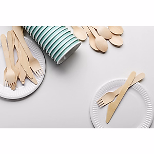 Spa Stix 6" Disposable Paper Plate - Pack of 500ct (Model: SS-Paper Plate 6-500)