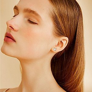 LOYALLOOK 12 Pairs Earrings for Women Studs Set Dainty Surgical Steel Earrings Tiny CZ Flower Heart Star Ball Silver Stud Earrings for Women