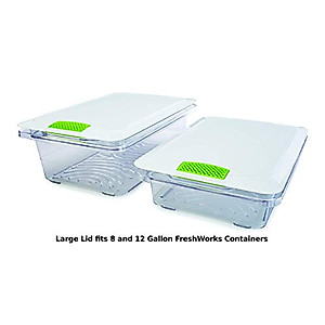 Rubbermaid Commercial Products FreshWorks™ Produce Saver Container, 12 Gallon Base Only (2052880)