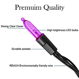 Twinkle Star 50 LED Battery Operated Halloween Lights 16 ft Mini String Lights, Waterproof Tree Lights with 8 Lighting Modes, Indoor Outdoor Patio Garden Party Wedding Decorations, Purple