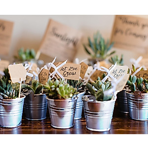 GIFTEXPRESS 48 Pack Mini Metal Buckets with Handles, Small Galvanized Tin Pails for Party Favor, Succulent, Wedding