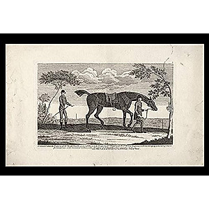 (Othello when the Property of Mr. Routh) Now Black & all Black the Property of Sr. Ralph Gore Bart. He beat Bajezet a Horse belonging to the Earl of March for 1000 Guineas on the Curragh of Keldare in the Kingdom of Ireland the 5th. of September 1751