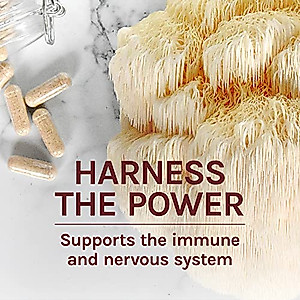 Host Defense, Lion's Mane Capsules, Promotes Mental Clarity, Focus and Memory, Mushroom Supplement, 60 Count