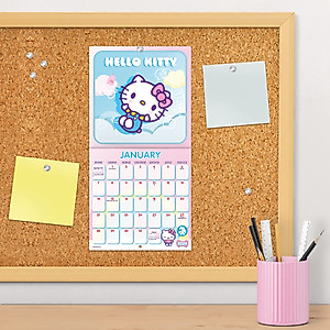 2024 Hello Kitty Mini Wall Calendar & Push Pins
