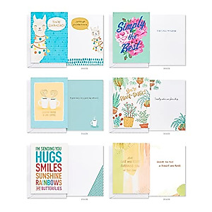 American Greetings Deluxe All Occasion Cards with Envelopes - Birthday, Thanks, Congrats and More (40-Count)