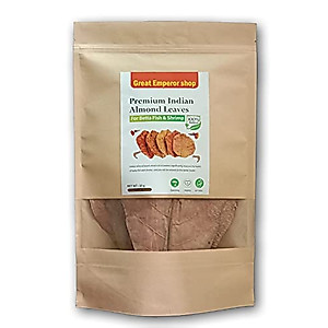 Pufa Great Emperor shop Premium Indian Almond Leaves Medium Catappa for Betta Fish & Shrimps|Best / Shrimp |Indian Almonds Naturally sourced Help Boost immunity 65g.