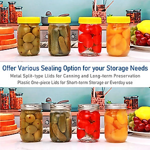 Encheng 12oz Regular Mouth Mason Jars with Lids and Bands,Clear Glass Canning Jars with Metal and Plastic Lids for Preserving,Meal Prep,Food Storage,Jam,Fermenting,Set of 12