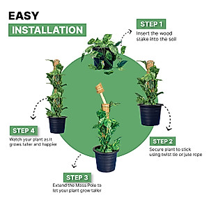 Rossesie 29-inch Moss Pole for Plants Monstera – 2 Extendable Coco Coir Support Stakes for Indoor Potted Plants - Moss Poles for Climbing Plants to Grow Upward with 2 x 47'' Twist Tie