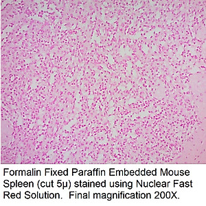 Nuclear Fast Red Solution, 1000ml