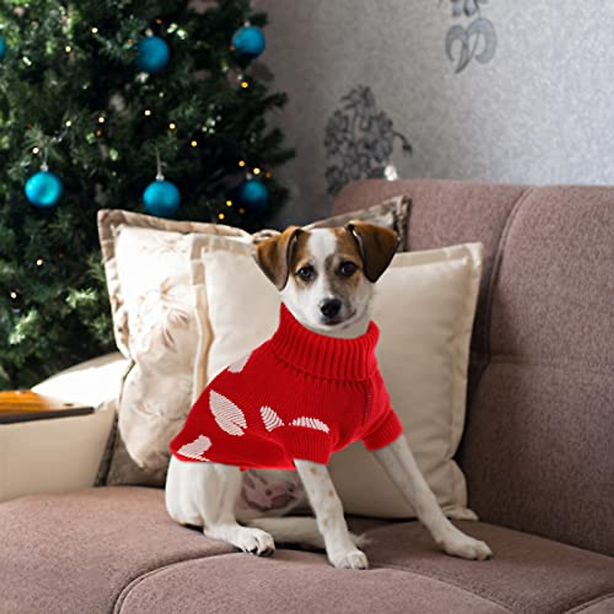 Queenmore Knit Sweater for Dogs, Turtleneck High Elastic Heart Pattern Festival Knitwear with Hind Leg Strings for Small and Medium Dogs (Red, XS)
