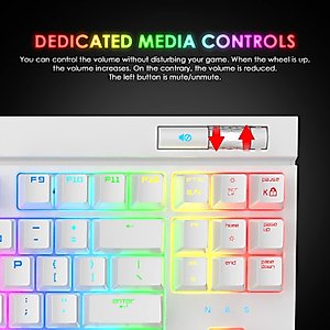 ZIYOU LANG Mechanical Gaming Keyboard,Chroma RGB 18 Kinds LED Backlit Keyboard with Wired Type C,87 Keys Anti-ghosting,Blue Switch and 4 Low Profile Switch Scroll Wheel for PC Gamers