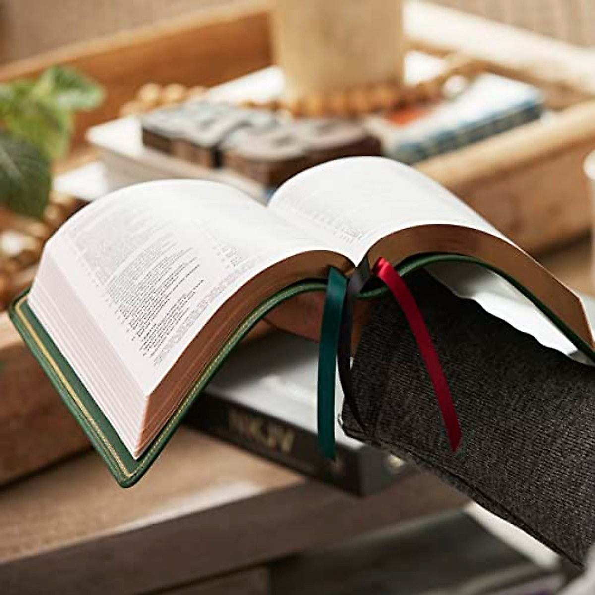 NKJV, Thinline Reference Bible, Large Print, Premium Goatskin Leather, Green, Premier Collection, Red Letter, Comfort Print: Holy Bible, New King James Version