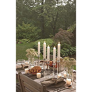 Root Unscented Timberline Collenettes Dinner Candles, 7-Inch Tall, Box of 4, Ivory