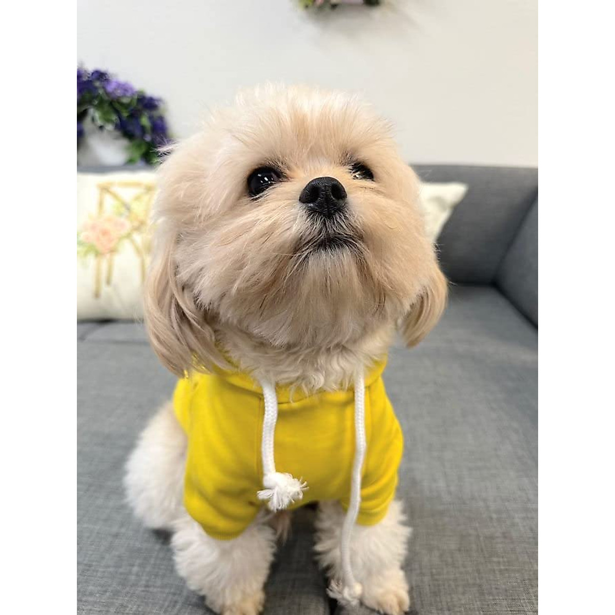 YoPetMax Pet-Parent Matching Leopard Pattern Family Look Pullover Hoodie Sweatershirt for Cat Small Dog Kitten Puppy Dogs&Mommy Outfits Clothes are Sold Separately(XL,Yellow)