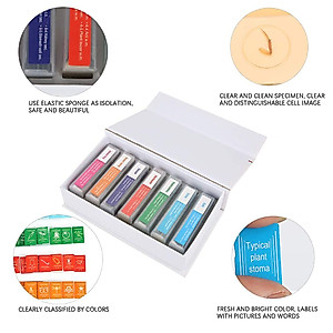 Hilitand 35pcs Biology Microscope Slide Glass Biological Prepared Slide Seven Type Biology Slide Lab Specimens Set