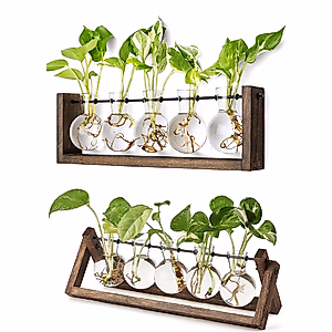 Mkono Plant Terrarium with Wooden Stand, Wall Hanging Glass Planter Desktop Glass Bulb Vase Retro Wooden Holder for Propagating Hydroponics Plants Pothos Home Office Garden Decor
