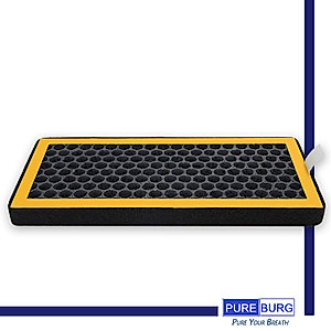 PUREBURG PetPlus Activated Carbon Replacement Filters Compatible with HoMedics TotalClean PetPlus at-PETODR fits AT-PET01 AT-PET02 Whisper-Quiet Oscillating Tower Air Purifier, VOCs Odor,2-Pack