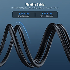 NEEWER D-Tap Battery Charger with 3.3feet/1m D-Tap Cable for V-Mount/V-Lock/Gold Mount Battery, Compatible with NEEWER BP-95W BP-190WS BP-150WS BP-V47 BP-V95 Sony BP-U65 BP-U68 etc.[Output: 16.8V 2A]