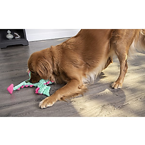 goDog Dragons with Chew Guard Technology Durable Plush Squeaker Dog Toy, Large, Seafoam, Plush Dog Toy