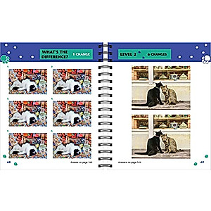 Brain Games - Picture Puzzles: Cats