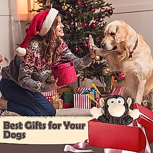 Letsmeet Dog Squeak Toys Plush Dog Toy with Crinkle Paper, Tug of War Pull Interactive Dog Toys for Puppies, Small, Medium, Large Dogs