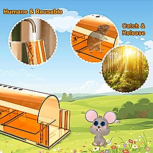 4 Pack Humane Mouse Traps Indoor for Home, Live Mouse Traps No Kill, Reusable Mice Small Rat Trap Catcher for House & Outdoors