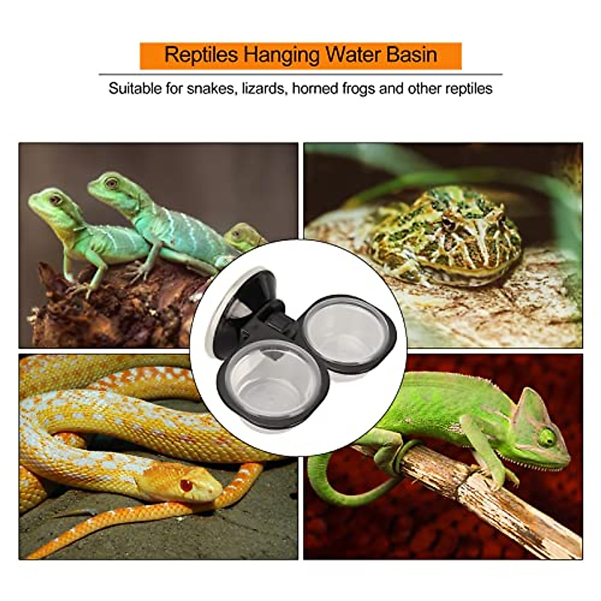 Reptile Food Water Feeding Bowl Crested Gecko Feeding Ledge Reptile Food and Water Cups for Small Pets (Double Bowl)