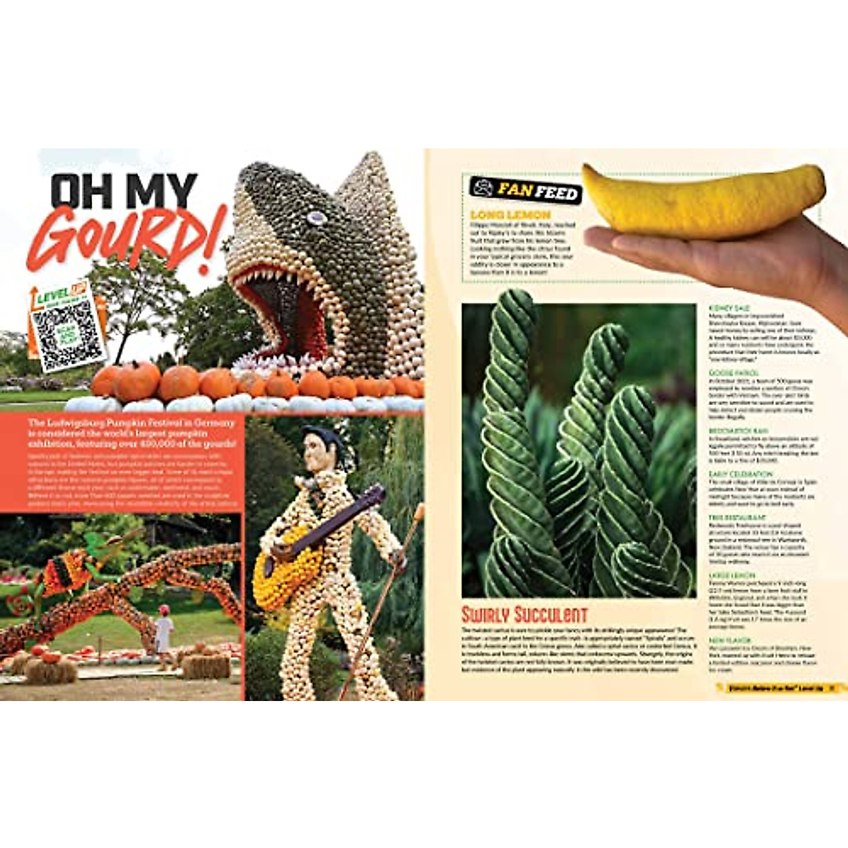 Ripley's Believe It Or Not! Level Up (20) (ANNUAL)