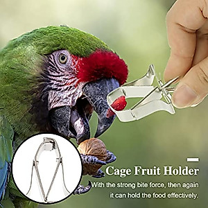 Ipetboom Bird Fruit Clips Bird Cage Food Holder Clips 4pcs Stainless Steel Parrot Fruit Vegetable Clips Bird Cage Feeder Clip for Budgie Parakeet Cockatoo Macaw Cockatiel Conure