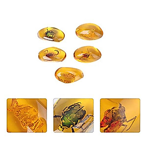 FOMIYES 5pcs Amber Fossil Artificial Amber Samples Stones Crystal Specimens Collection Pendant (Random Pattern)