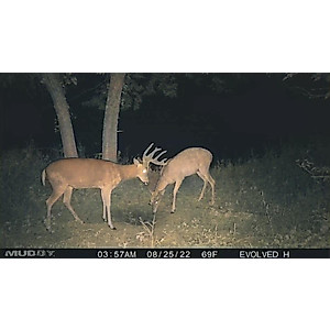 Muddy Morph outdoor AT&T Cellular Trail Camera 26MP, 1080p