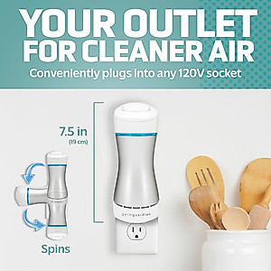 Germ Guardian GG1000 7” Pluggable Small Air Purifier, Small Room Wall Air Sanitizer, Freshens Air, UV-C Light Kills Germs, Reduces Odors from Pets, Cooking, Mold, GermGuardian, 1-Yr Warranty